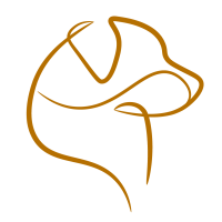 Kennel Uut 'T Beijerbosch – Australian Shepherds